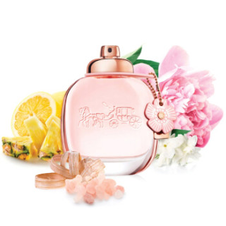 【COACH/蔻驰3386460095358】蔻驰（COACH）花馥蕊香女士浓香水50ml【报价 价格 评测 怎么样】 -什么值得买