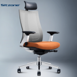 【省800元】SITZONE电脑椅_SITZONE 精壹 DS-203A 人体工学椅电脑椅多少钱-什么值得买