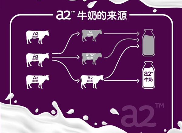 一篇看懂什么是A2蛋白质-什么值得买