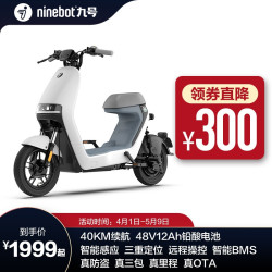 【省400元】电动自行车_Ninebot Ninebot九号电动A30C智能电动车9号新国标可上牌电动自行车电瓶车 初雪白灰 其他地区多少钱-什么值得买