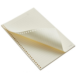 文谷纸品_文谷 A450-1 A4活页本替芯 横线款 单本装多少钱-什么值得买