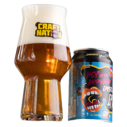 【省180元】精酿啤酒_奈炫 精酿啤酒 帝国IPA啤酒 330ml*6听多少钱-什么值得买