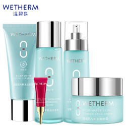 温碧泉护肤套装_WETHERM 温碧泉 护肤礼盒装 (洁面乳120g+新活保湿水130ml+嫩肤乳110ml+嫩肤霜50g+鱼子酱精华液7ml ...