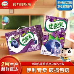 伊利乳饮料_yili 伊利 优酸乳乳饮料250ml*24盒 早餐奶学生牛奶火锅伴侣礼盒 优酸乳250ml*24多少钱-什么值得买