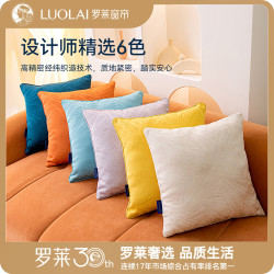 罗莱家纺家纺布艺_LUOLAI 罗莱家纺 流星高精密系列抱枕头靠背软包坐垫客厅床头卧室学生含芯套可拆洗多少钱-什么值得买