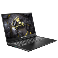 神舟游戏本_Hasee 神舟 战神GX8R9 17.3英寸游戏本（i9-13900HX、32GB、1TB、RTX4060）多少钱-什么值得买