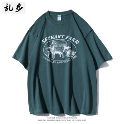 乱步男士T恤_Rampo 乱步 220g重磅纯棉 趣味印花休闲T恤多少钱-什么值得买