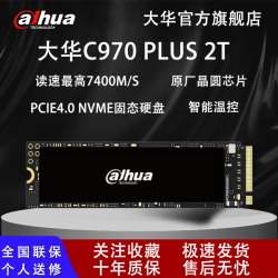大华固态硬盘_da hua 大华 C970 Plus 2T 固态硬盘 PCIe 4.0多少钱-什么值得买