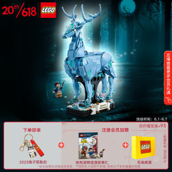乐高拼插积木_LEGO 乐高 哈利波特系列 76414 守护神咒多少钱-什么值得买