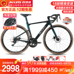 【省500元】喜德盛骑行运动_XDS 喜德盛 AD300全内走破风公路车多少钱-什么值得买