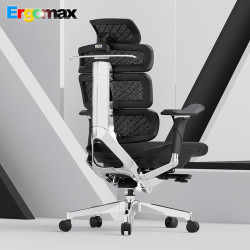 【省2469元】迩高迈思电脑椅_Ergomax 迩高迈思 Evolution 2Pro Max人体工学电脑椅 魅力黑多少钱-什么值得买