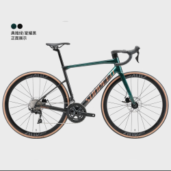 其他品牌骑行运动_佳沃（JAVA）无敌速比特sunpeed INVINCIBLE SPORT碳纤维气动破风碟刹公路车 绿宝石 L#身高168 ...