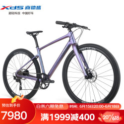 【省800元】喜德盛公路车_XDS 喜德盛 公路自行车24款AD500电子变速单车 （PLUS券后价5599元）多少钱-什么值得买