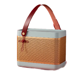 【省190元】铂傲音箱_BANG&OLUFSEN 铂傲 beoplay Beolit 20 蓝牙音箱多少钱-什么值得买