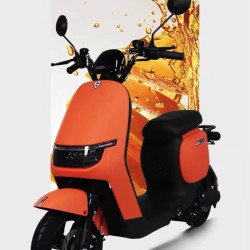 深远电动车_SYUAN 深远 金虎新国标NFC解锁锂电池家用外卖神车 深远金虎多少钱-什么值得买