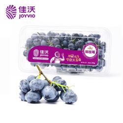 【省28.9元】佳沃新鲜水果_JOYVIO 佳沃 蓝莓鲜枝莓14mm+ 1盒装 约250g/盒 新鲜水果多少钱-什么值得买