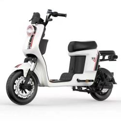 深远电动车整车_SYUAN 深远 009三代 新国标电动自行车 运动版多少钱-什么值得买