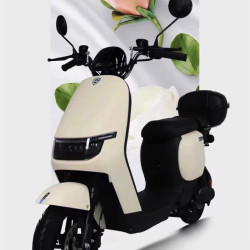 深远电动车整车_SYUAN 深远 金虎 新国标电动自行车多少钱-什么值得买