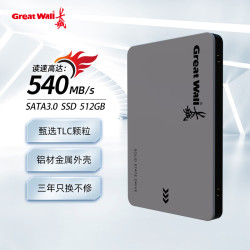 长城固态硬盘_Great Wall 长城 512GB SSD固态硬盘 SATA3.0接口 GW560系列多少钱-什么值得买