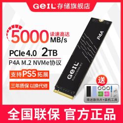 金邦硬盘_GeIL 金邦 P4A NVMe M.2 固态硬盘 2TB（PCIe 4.0）多少钱-什么值得买