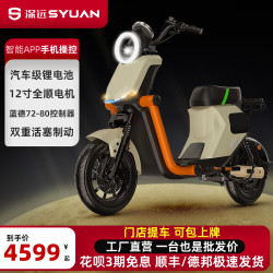 【省1300元】深远电动车_SYUAN 深远 新款GT1电动车新国标超长续航电瓶车男女通勤智能电动自行车多少钱-什么值得买