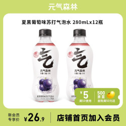 元气森林饮料_元气森林 苏打气泡水无糖饮料汽水混合装0糖0脂0卡280mL×12瓶整箱塑封 夏黑葡萄280ml*12多少钱-什么值得买
