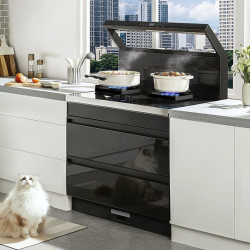 【省400元】华凌集成灶_WAHIN 华凌 JJZT-DT08 集成灶多少钱-什么值得买