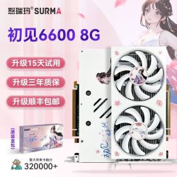 怒瑞玛显卡_SURMA 怒瑞玛 -初见rx6600 8G多少钱-什么值得买
