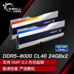 芝奇台式机内存_G.SKILL 芝奇 48GB(24Gx2) DDR5 8000 台式机内存条-幻锋戟RGB灯条(科技银)/Intel XMP/C40多少钱-什么值得买