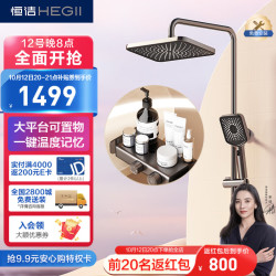 【省300元】恒洁家装主材_HEGII 恒洁 淋浴花洒套装 方形置物枪灰色增压除垢花洒全套HMF917-333D-SN多少钱-什么值得买