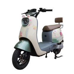 深远电动车_SYUAN 深远 微笑女神电动自行车学生版双碟刹电动性价比超速可爱 红色多少钱-什么值得买