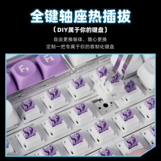 EWEADN 前行者 V99 精英版 99键 2.4G蓝牙 多模无线机械键盘 寒酥紫 雪豹轴 RGB【报价 价格 评测 怎么样】 -什么值得买