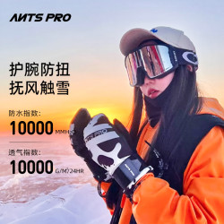 Ants Pro滑雪装备_Ants Pro ANTS安特斯 滑雪手套功能护腕款可放雪卡耐磨防水透气保暖手闷多少钱-什么值得买