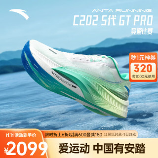 安踏（ANTA）C202 5代 GT PRO勇立潮头丨运动鞋男鞋氮科技马拉松竞速碳板跑鞋 纸莎白/浣玉绿/荧光浅草绿-9 10(男44)【报价 价格 评测 怎么样】 -什么值得买