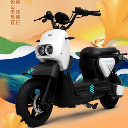 深远电动车_SYUAN 深远 电动自行车祖玛新国标60125AH锂电/脚踏板/约250公里多少钱-什么值得买