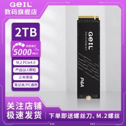 金邦硬盘_GeIL 金邦 P4A 2T PCIe4.0M.2固态硬盘台式机电脑笔记本拓展通用多少钱-什么值得买