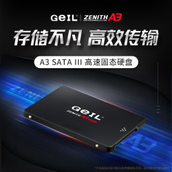 GeIL硬盘_GeIL 金邦A3固态硬盘2tb 1t 4T SSD存储SATA3接口台式机笔记本电脑多少钱-什么值得买