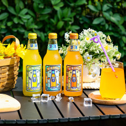 【省23.41元】华洋果汁饮料_华洋 1982汽水 果味碳酸饮料 358ml*6瓶多少钱-什么值得买