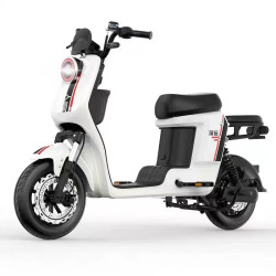 深远电动车_SYUAN 深远 009三代运动版27H版新国标轻便通勤外卖送餐代步电动自行车 48V45A多少钱-什么值得买