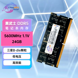 海力士内存_SK hynix 海力士 新乐士（SAMNIX）24GB DDR5 笔记本内存条 5600MHz C45/46 优选颗粒 Black Knight多少钱-什么值得买