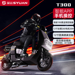 【省900元】深远电动车整车_SYUAN 深远 电动T300新国标电动自行车黑骑士外卖车智能电动车代步电瓶多少钱-什么值得买