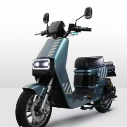 深远电动车_SYUAN 深远 高端T300豪华版家用外面代步车锂电池新国标电动自行车旗舰车 深远t300多少钱-什么值得买