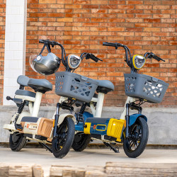 雅迪电动车整车_Yadea 雅迪 贝塔 电动自行车多少钱-什么值得买