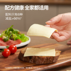 奶酪博士奶酪_Dr.CHEESE 奶酪博士 芝士片奶酪片干酪≥81% 83g*4多少钱-什么值得买