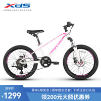 喜德盛RC500公路车：进阶型入门之选_普通自行车_什么值得买