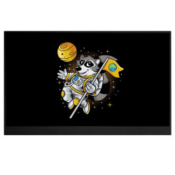 DNPD显示器_DNPD 便携式显示器 11.6英寸（1366*768、60hz）多少钱-什么值得买