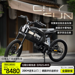 【省500元】ZEEHO电动车_ZEEHO 极核新国标电动自行车CiTY FUN跨骑 莫德灵黑多少钱-什么值得买