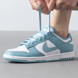 耐克休闲运动鞋_NIKE 耐克 男鞋秋季DUNK运动鞋休闲鞋板鞋DV0833-106 DV0833-106 42.5多少钱-什么值得买