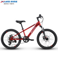 喜德盛RC500公路车：进阶型入门之选_普通自行车_什么值得买