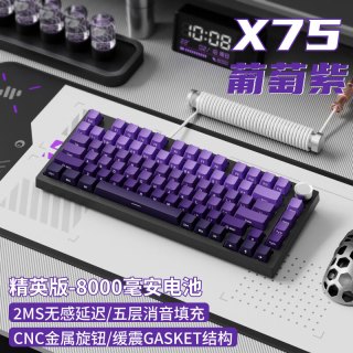 前行者（EWEADN）X75客制化机械键盘gasket结构 无线/蓝牙三模全键热插拔 侧刻高颜值液晶彩屏 电竞游戏办公键盘 葡萄紫侧刻-椰紫轴-三模-8000mAh精英版【报价 价格 评测 ...